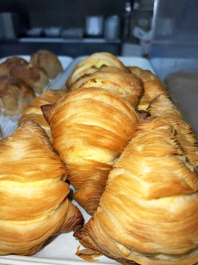 Golden layers of sfogliatella pastry fold like an accordion playing sweet Italian love songs to your taste buds.