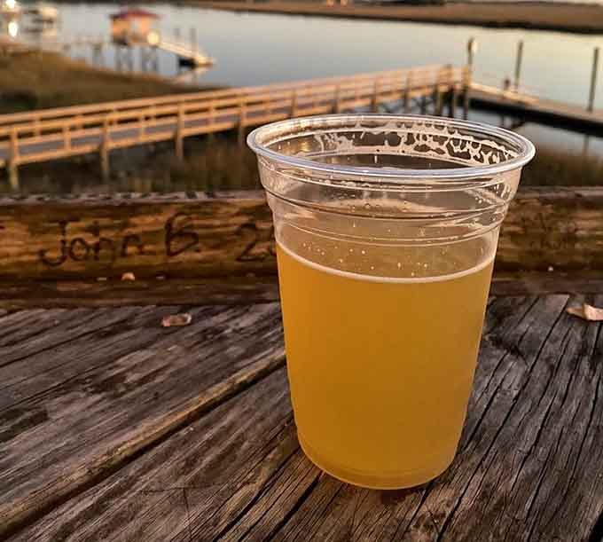 Cold beer with a marsh view: proof that life's greatest pleasures don't require fancy glassware or a sommelier's approval to be perfect.
