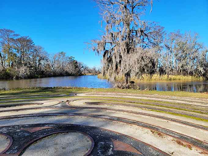 That magnificent cypress tree has seen more South Carolina history than any textbook could ever capture.