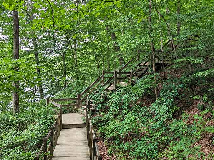 These wooden steps lead to views worth every single one of those calf-burning climbs you'll remember tomorrow.