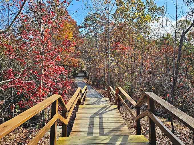 The boardwalk through autumn's greatest hits, where every step reveals another reason to put down your phone.