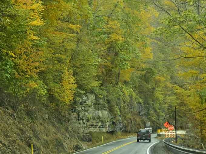 The kind of tunnel vision that actually improves your mental health instead of causing road rage incidents.