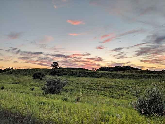 Prairie grasses swaying beneath cotton candy skies as the day winds down in spectacular Midwestern fashion.