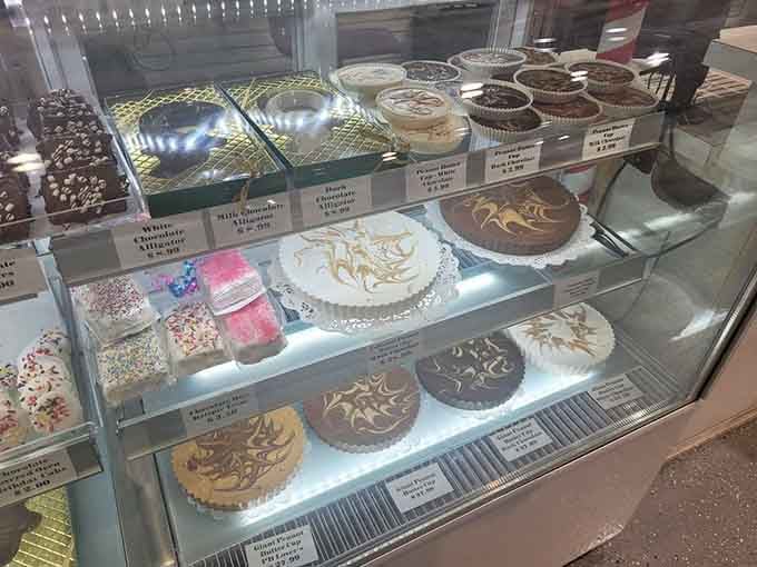 Chocolate-covered everything sits behind glass like museum pieces, except these you're absolutely encouraged to devour immediately.