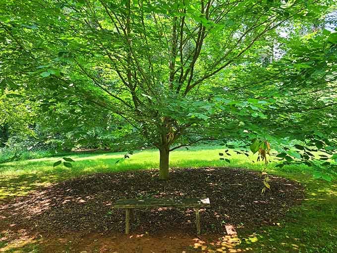 Find a shaded bench and contemplate life's big questions, or just enjoy not moving for a while.