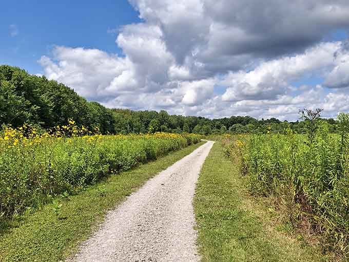 Frohring Meadows offers trails where wildflowers outnumber people, which is exactly the ratio we all need sometimes.