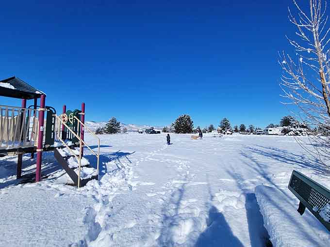 Winter camping transforms the landscape into a frozen wonderland for the truly adventurous and slightly crazy.
