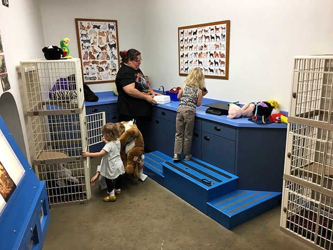 The veterinary clinic lets aspiring animal doctors practice their bedside manner on patients who never complain about the wait time.