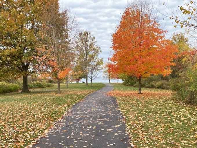 Fall foliage frames the pathway perfectly, like nature decided to show off its interior decorating skills for visiting admirers.