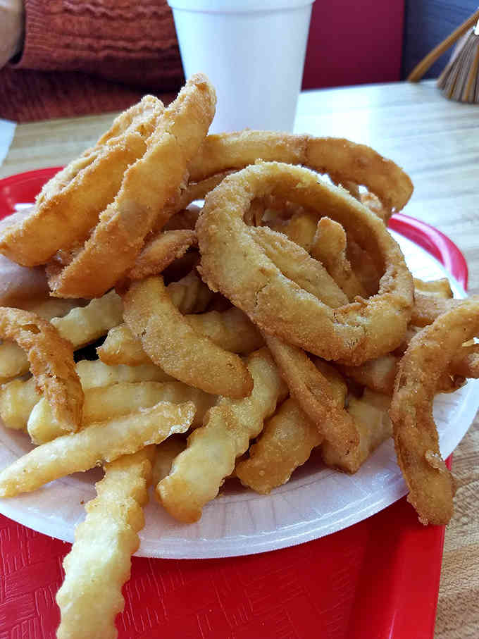 Golden fries meet crispy onion rings in a fried food friendship that would make any cardiologist nervous.