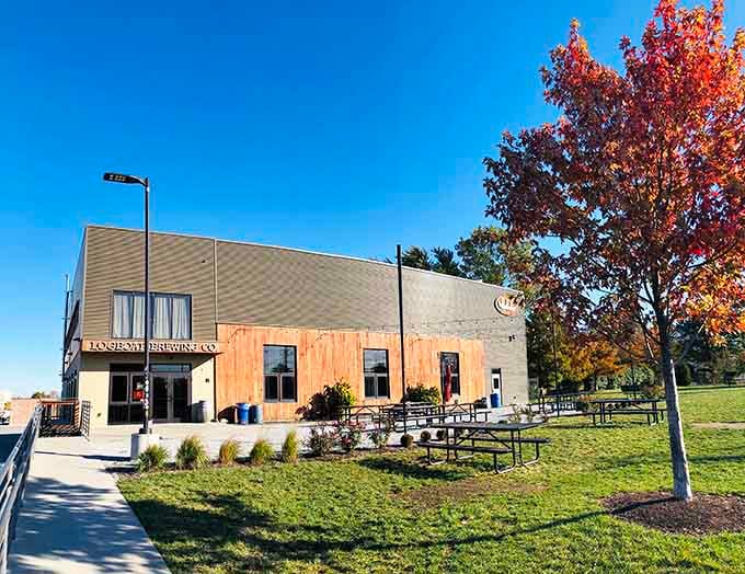 Logboat Brewing Company sits ready to serve locally crafted beers in a space that feels both modern and welcoming.