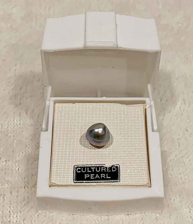 A cultured pearl sits waiting for someone to recognize its value, because treasures hide in the most unexpected places.