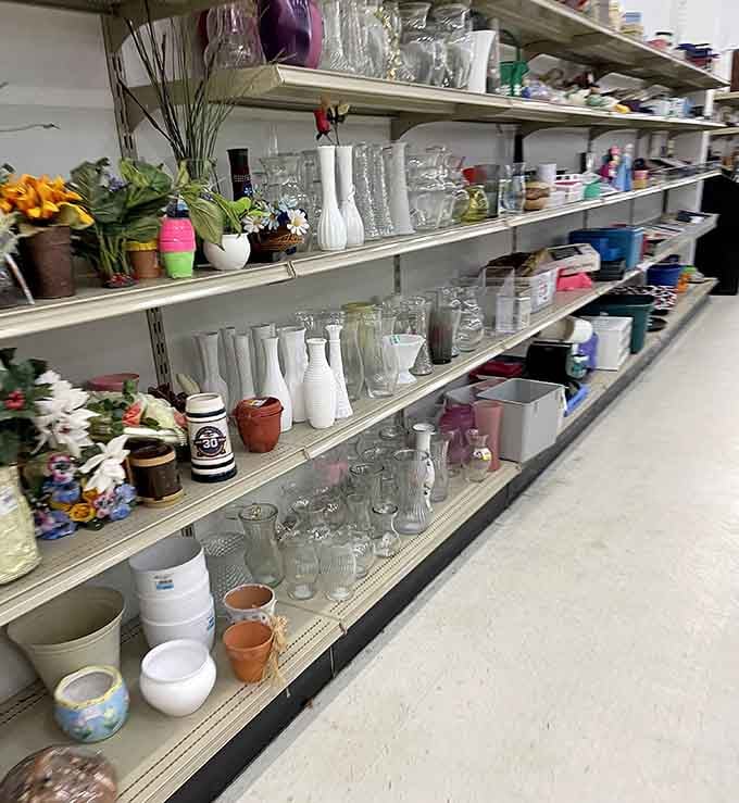 Vases and glassware standing ready to class up your place without emptying your wallet.