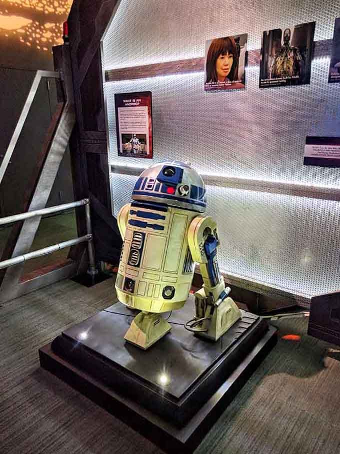 R2-D2 proving that being short doesn't mean you can't be the most beloved character in the galaxy.