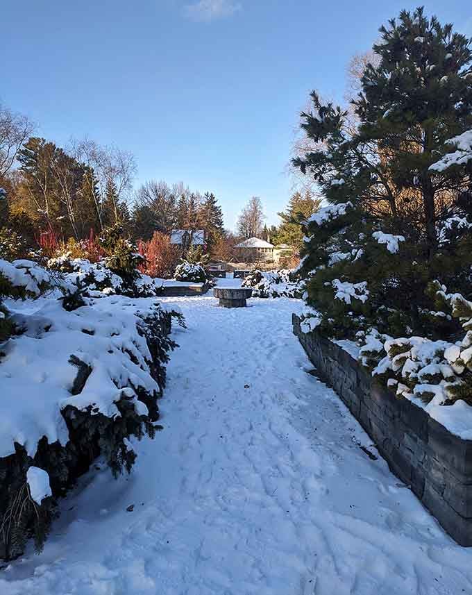Snow transforms the gardens into a serene wonderland where evergreens stand proud against the cold.
