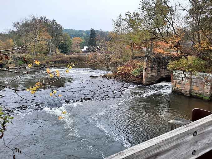 The Cuyahoga River flows alongside the tracks, providing nature's own soundtrack to your journey through northeastern Ohio's hidden gem.