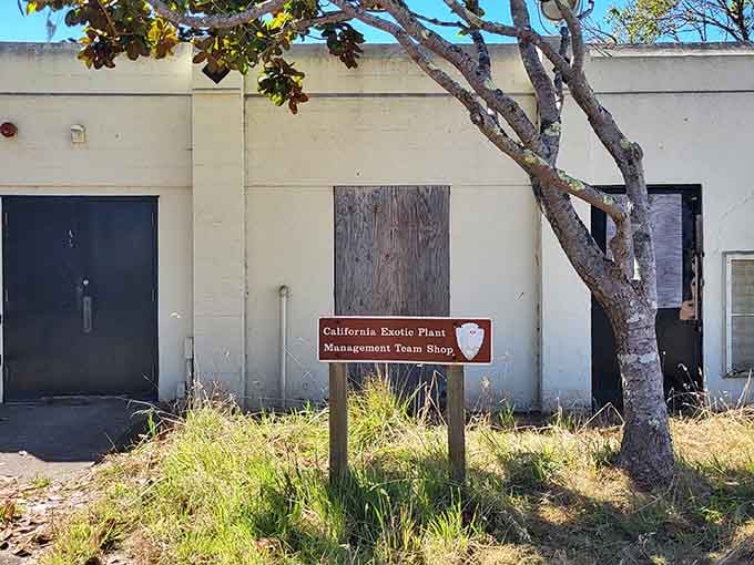 Even the maintenance buildings here have more character than most people's entire Instagram feeds combined.