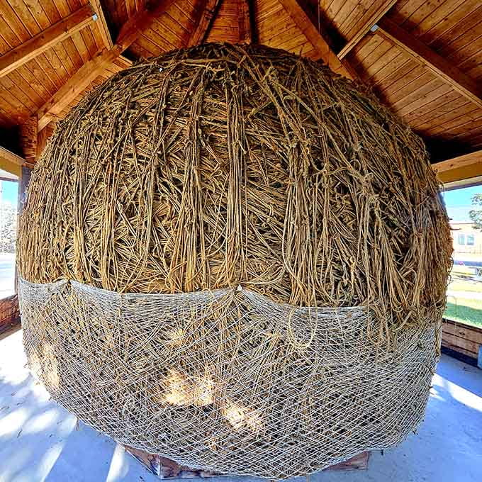 Multiple angles reveal the intricate patterns of decades-long dedication, each loop telling its own small story of commitment.