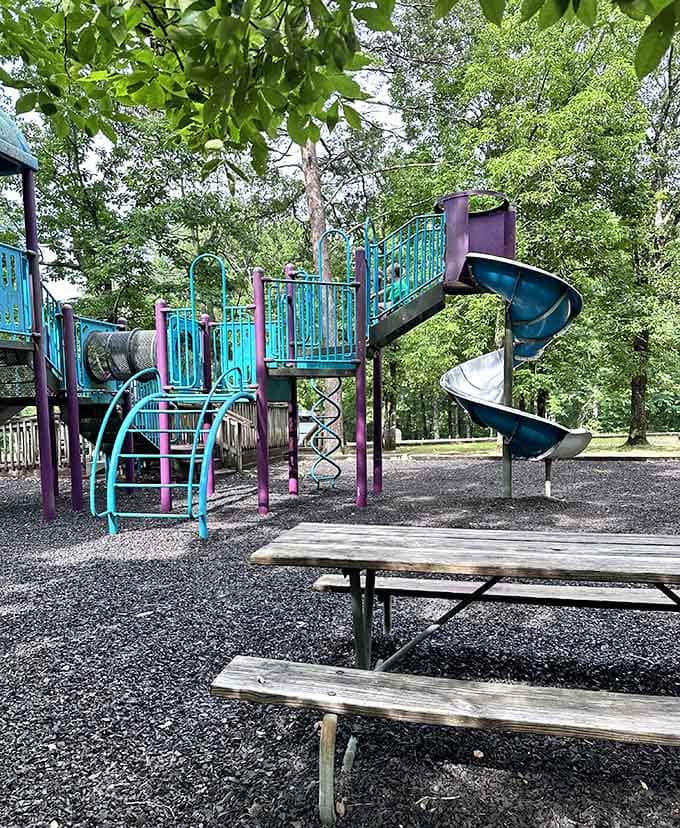 Yes, there's a playground here, because even kids need a break from all that breathtaking scenery and hiking.