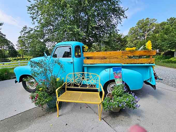 A vintage turquoise truck provides the perfect Instagram backdrop, because some photo ops are simply irresistible.