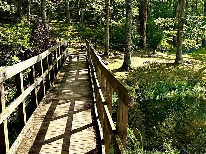 Wooden footbridges wind through sun-dappled forests where the only traffic jam involves curious squirrels and chipmunks.