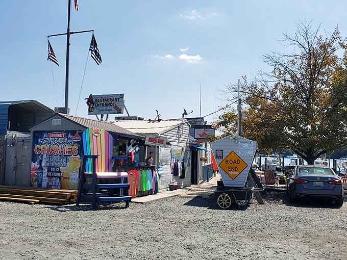 Hard Yacht Cafe brings waterfront vibes to landlocked budgets, proving you can enjoy life near the bay affordably.