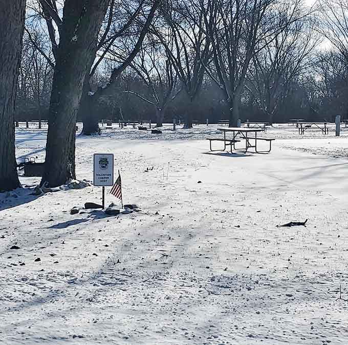 Snow-dusted picnic tables waiting patiently for spring, like a Norman Rockwell painting come to life in Ohio.