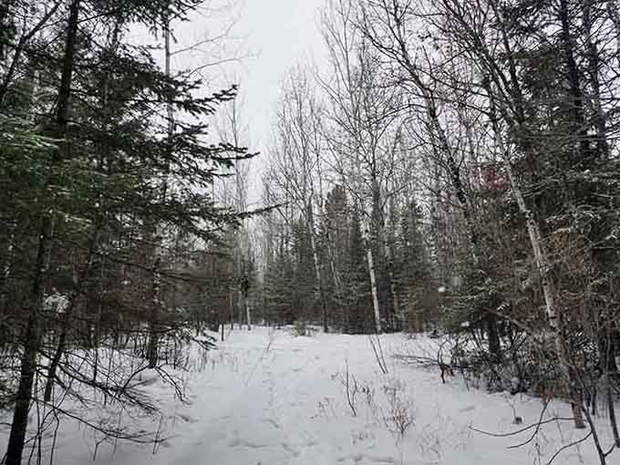 Winter trails wind through silent forests where the only sound is snow crunching beneath your boots.