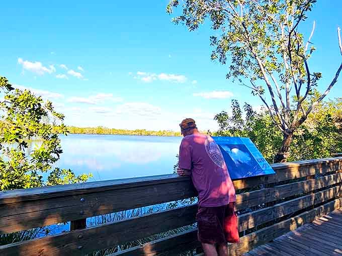 Sometimes the best view requires nothing more than a bench, some water, and the willingness to simply be present.