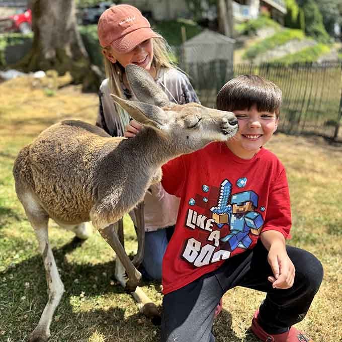 This kid's smile says it all: forget Disneyland, we've got wallabies willing to pose for photos right here.