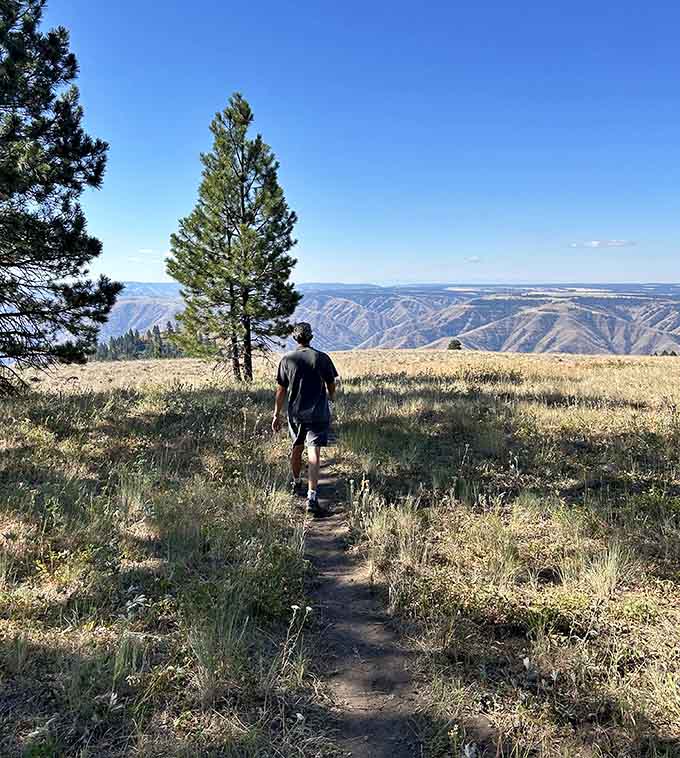 One person, one trail, endless canyon views that make every step feel like a discovery.