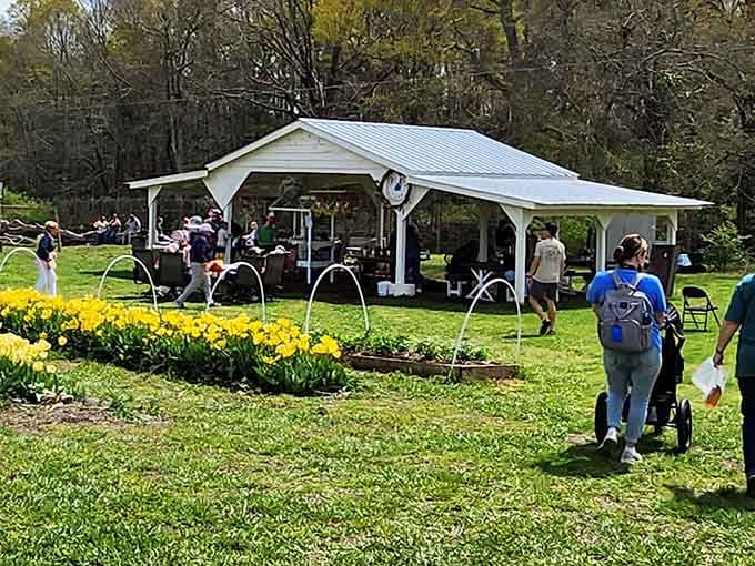 The covered pavilion offers shade and respite, a perfect spot to admire your haul and plan your next pass.