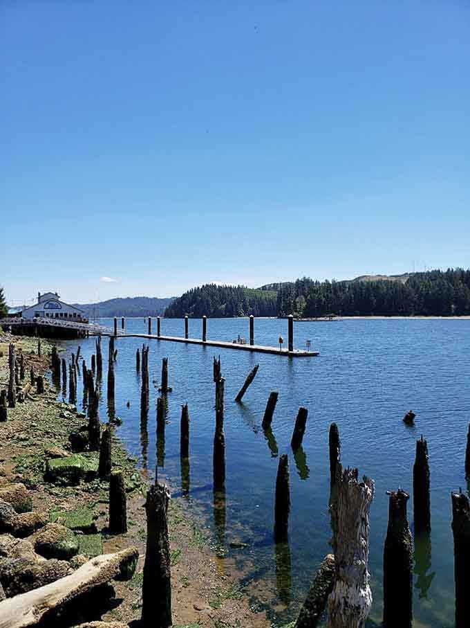 Weathered pier posts standing like sentinels, reminding you this river has stories older than your grandchildren.