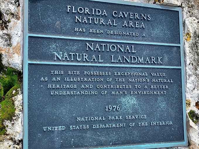 This plaque confirms you're standing above something special enough to earn National Natural Landmark status back in '76.