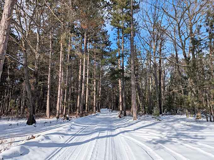 Winter transforms the trails into a snowy wonderland that looks straight out of Narnia, minus the witch.