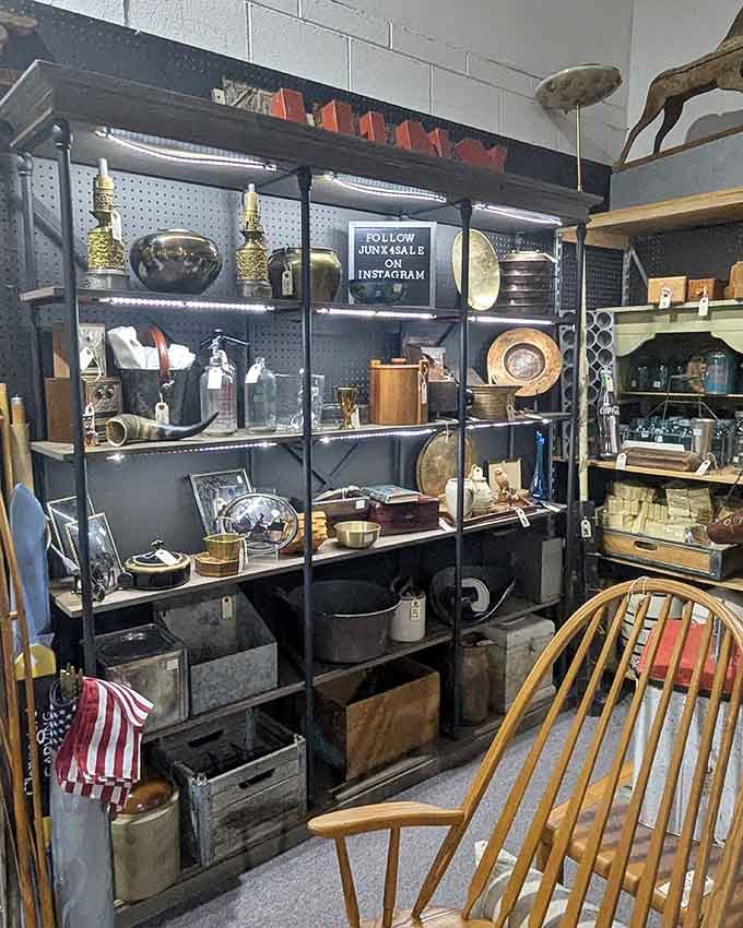 Industrial shelving showcases vintage treasures arranged with the precision of a museum curator's wildest dream.