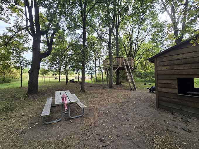 The treehouse and picnic setup create the ultimate family basecamp for exploring these woods like modern-day adventurers would.