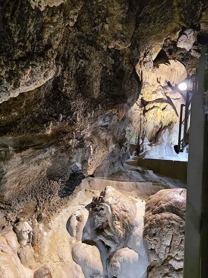 Textured cave walls and delicate formations glow under careful lighting, revealing nature's intricate handiwork in calcium carbonate.