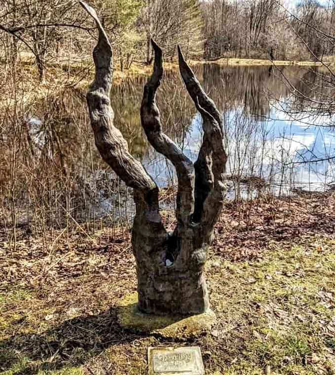 Cyprus Night emerges from the earth like nature's own sculpture, weathered and beautiful in its organic form.