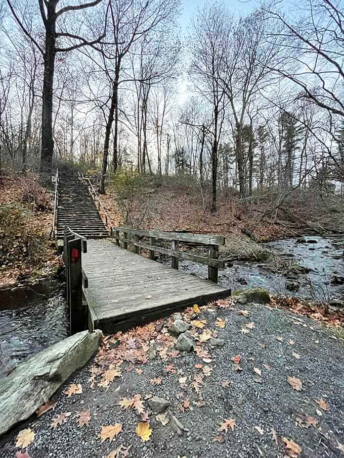 These wooden bridges cross more than just water, they're portals to the kind of peace your therapist keeps recommending.