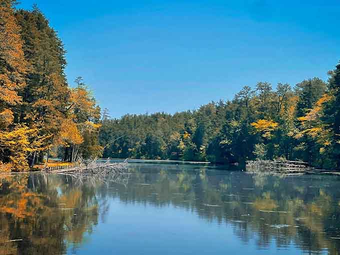 Fall foliage reflected in still water creates a double feature that beats anything streaming on your television.