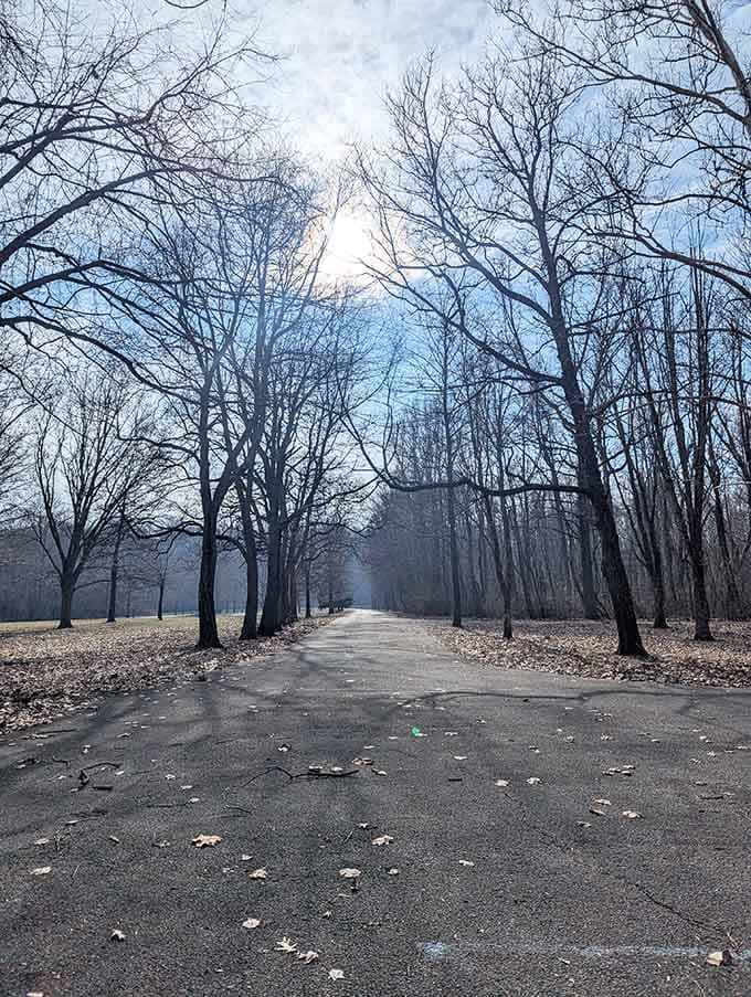 Winter transforms the park into a peaceful wonderland, though you'll need to be hardy to enjoy these frosty trails.