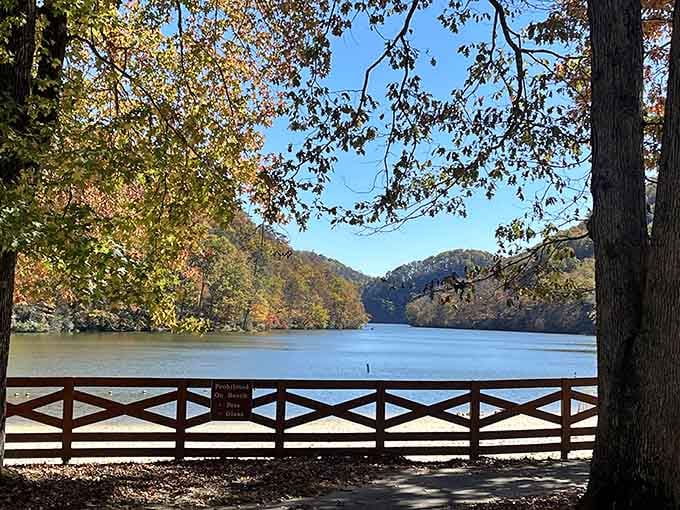 Autumn transforms the shoreline into a painter's palette that would make Bob Ross weep with joy.