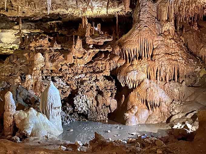 Nature spent eons creating this masterpiece while we were busy inventing the wheel and arguing about politics.