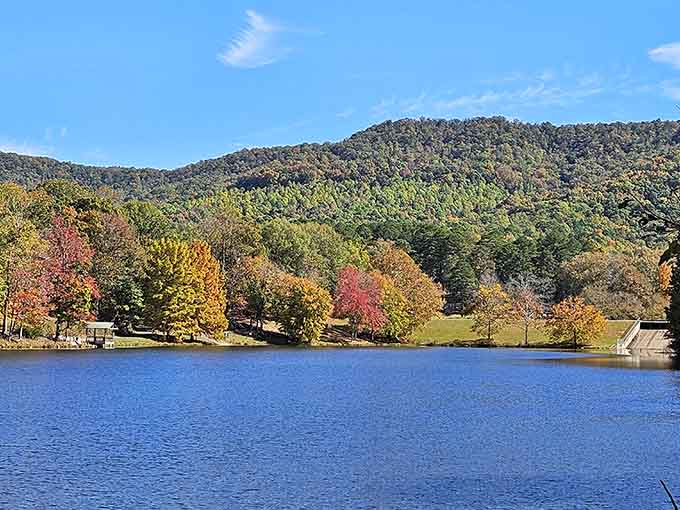 Fall paints the hillside in colors that make you understand why people write poetry about seasons.