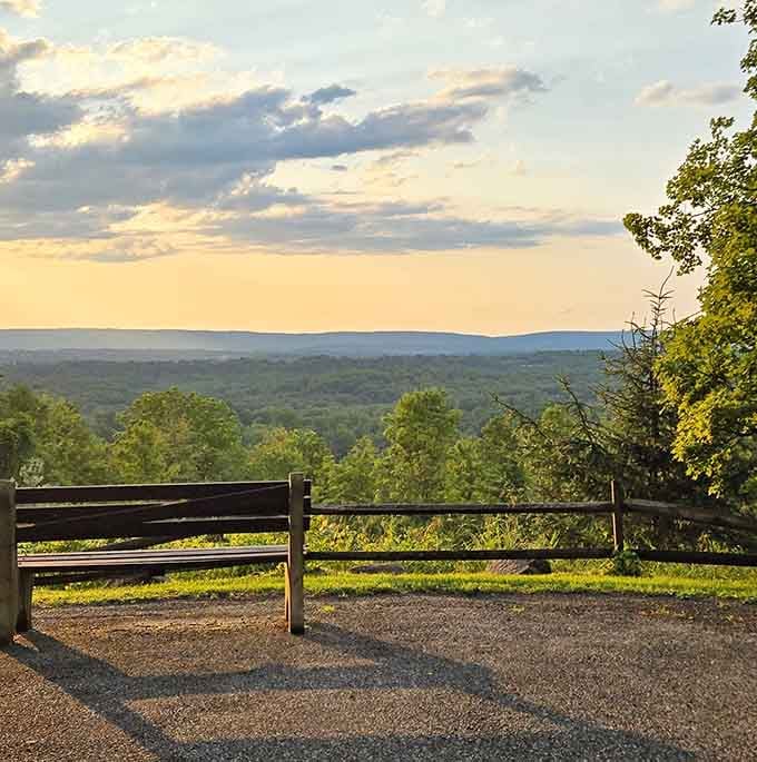 The best seat in the house doesn't require reservations, just a willingness to share with the occasional chipmunk.