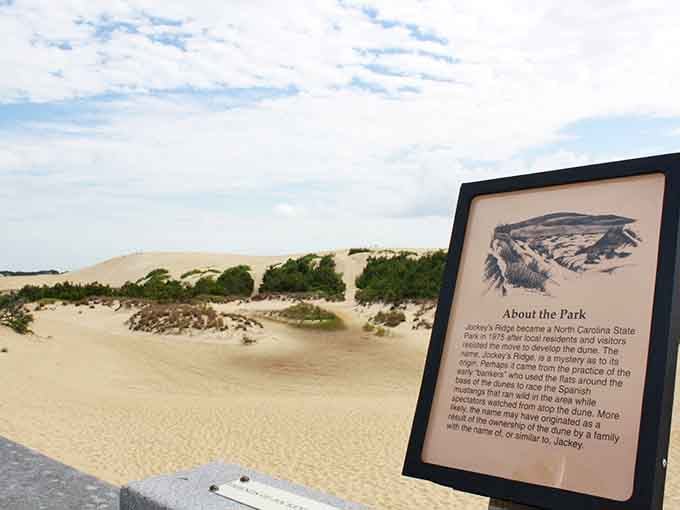 Educational plaques explaining how millions of grains of sand decided to throw the world's longest beach party right here.