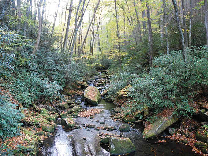 Mountain streams have been carving these rocks since before anyone invented the wheel, and they're still going strong.