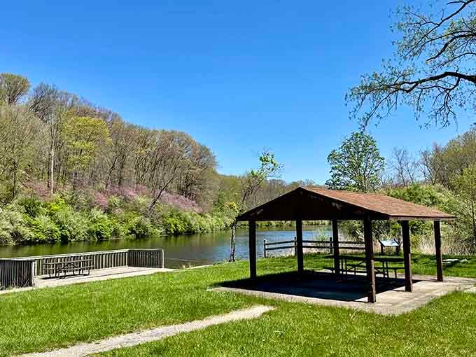 Shelter from the sun, perfect for picnics, and proof that simple pleasures still reign supreme in life.