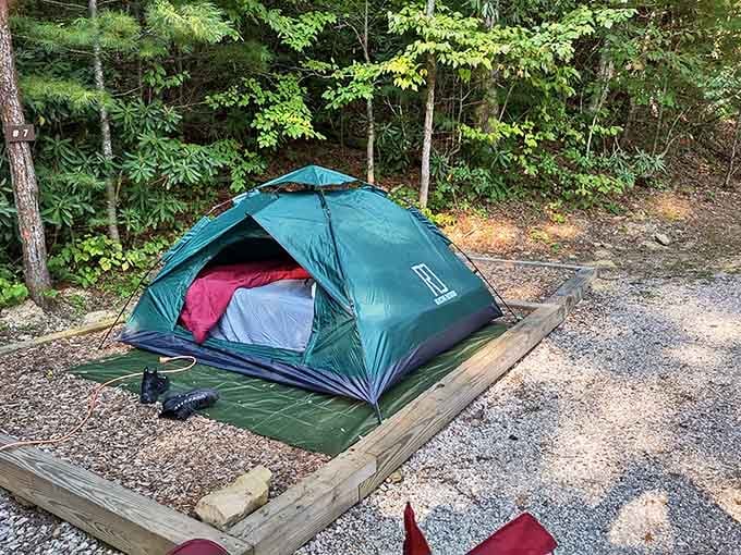 Camping here means trading your ceiling fan for actual fresh air and stars you can actually see.